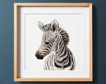 Zebra print | Etsy