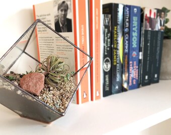 Square terrarium | Etsy