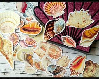 Decoupaged shell | Etsy