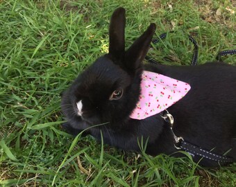 Pet rabbit clothing | Etsy