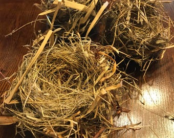 Real bird nest | Etsy