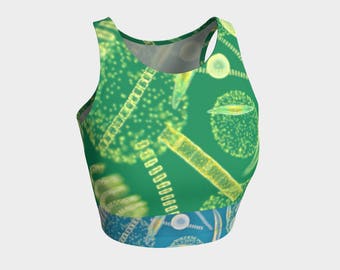 Phytoplankton | Etsy