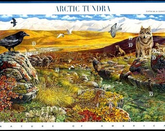 Arctic tundra | Etsy