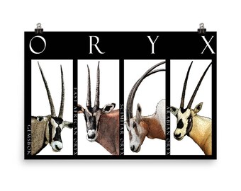 Oryx | Etsy