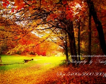 Forest backdrop | Etsy