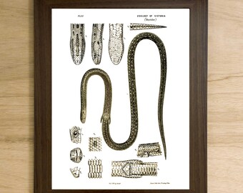 Snake wall art | Etsy