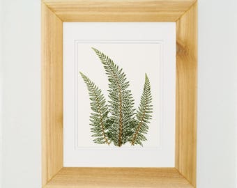 Fern art | Etsy