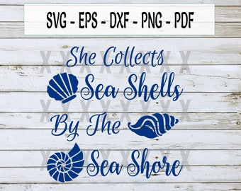 Seashell svg | Etsy