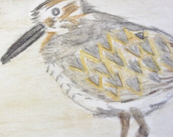 Sandpiper painting | Etsy