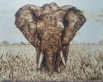 Pyrography elephant | Etsy