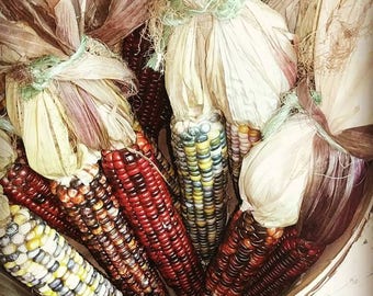 Selu Cherokee Native American Corn goddess 8x10 fine art print