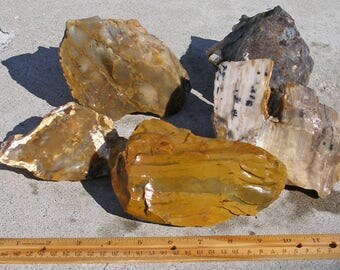 Decorative stones | Etsy