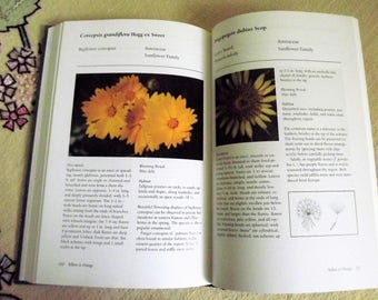 How to Be a Wildflower: A Field Guide by Katie Daisy. SIGNED