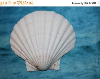 Baptism shell | Etsy