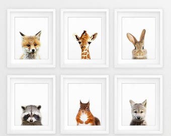 Woodland Nursery Decor Baby Animals Set 6 Bunny Fox Bear Owl