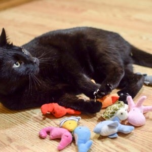 Stark Raving Cat Catnip Joints hip gifts for by StarkRavingCat