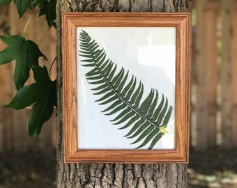 Fern art | Etsy