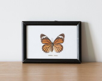 Framed butterfly | Etsy