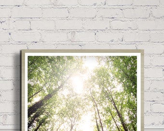 Nature poster | Etsy