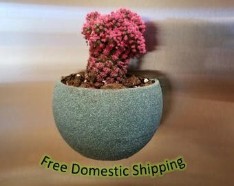 Magnetic planter | Etsy