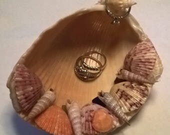 Seashell ring dish | Etsy