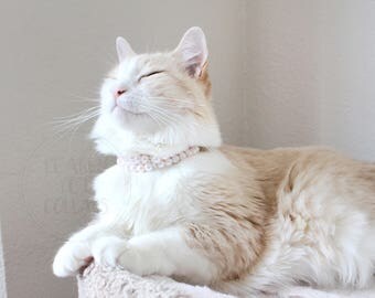 Cat collar | Etsy